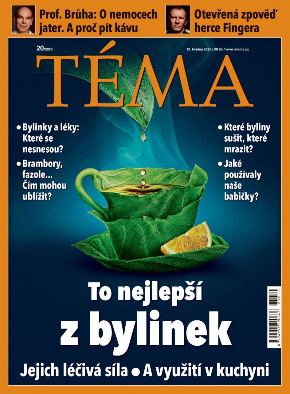 TÉMA předplatné - Časopisy - Magaziny.cz