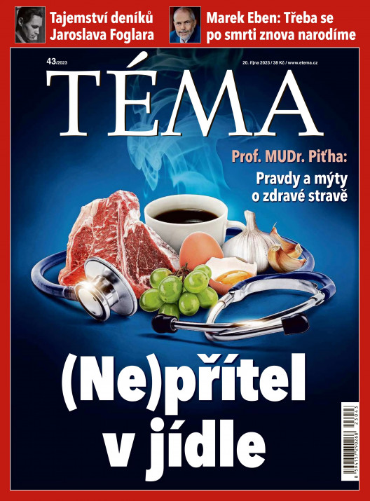 TÉMA předplatné - Časopisy - Magaziny.cz