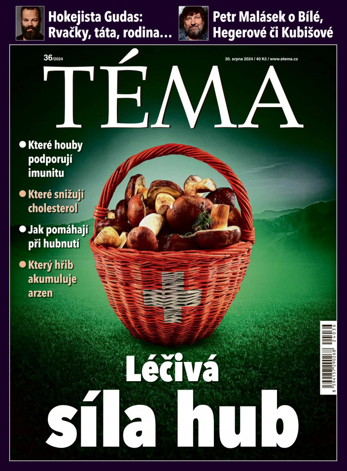 TÉMA předplatné - Časopisy - Magaziny.cz