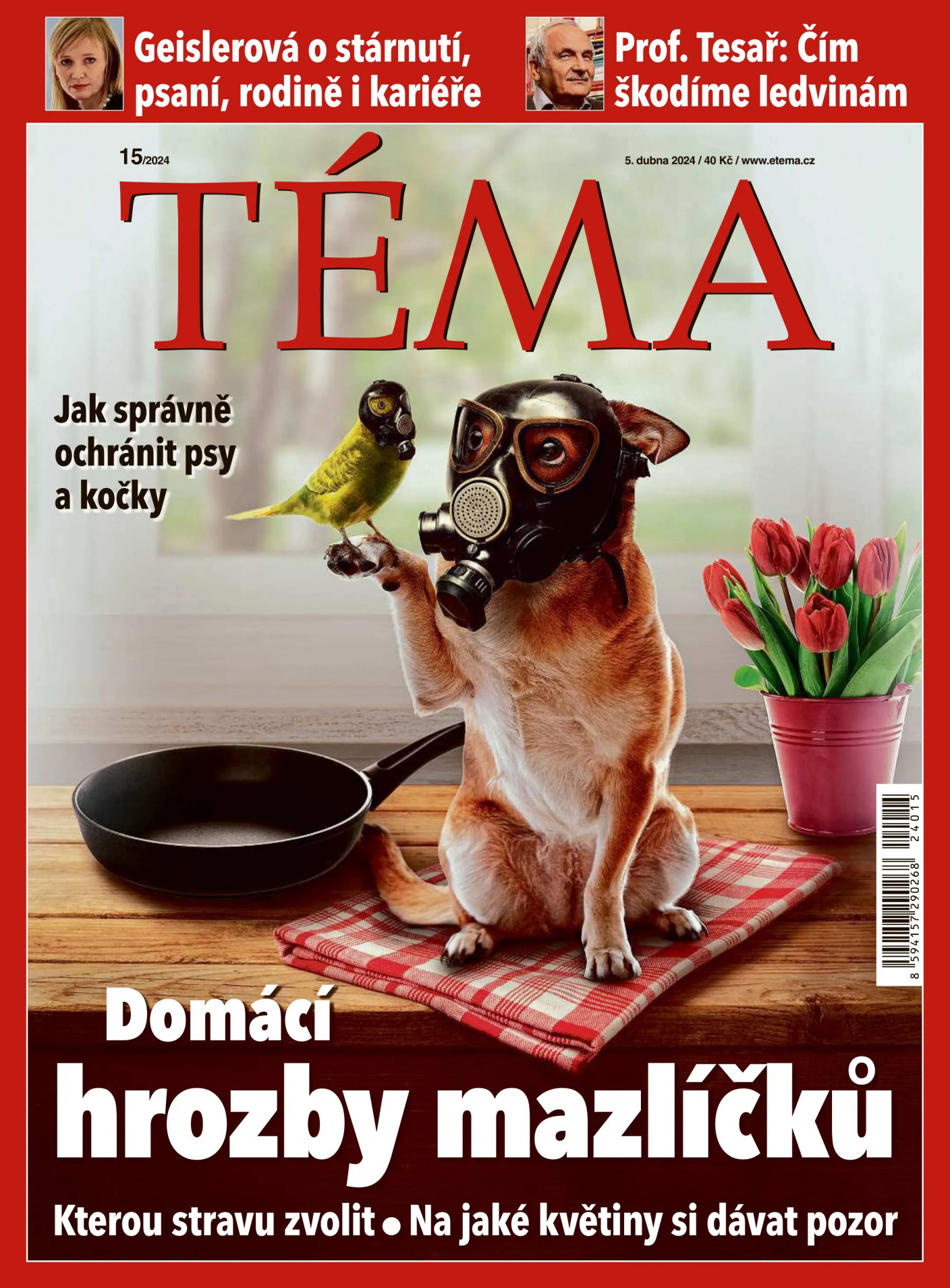 TÉMA předplatné - Časopisy - Magaziny.cz